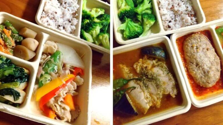 デリピックスとナッシュを徹底比較！味・料金・メニューの違いは？どっちがあなた向き？